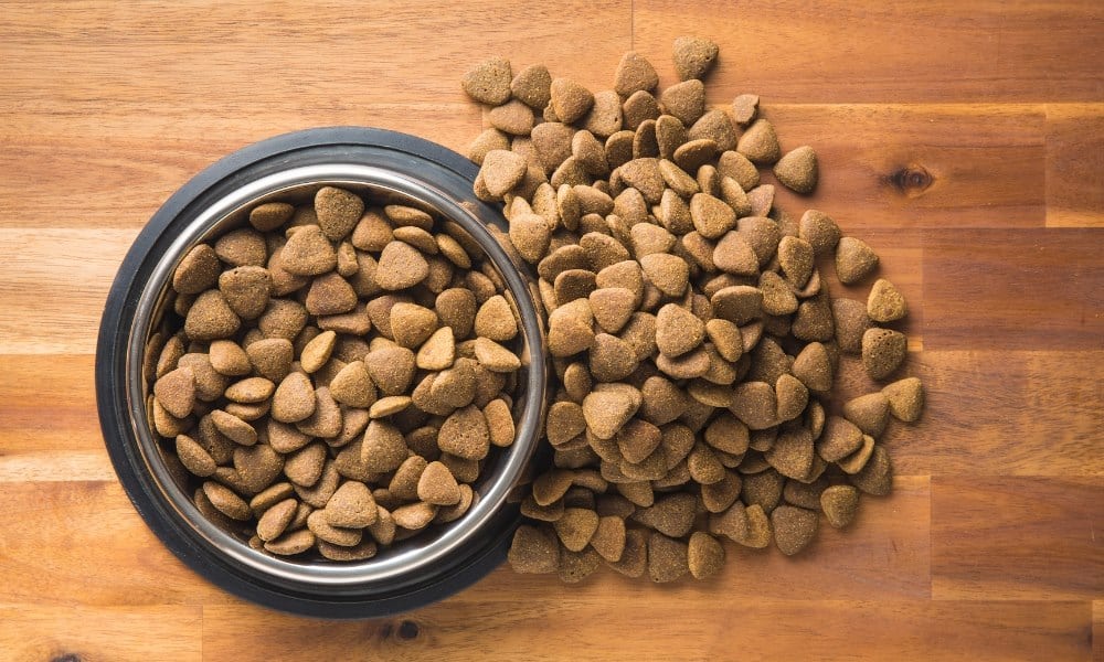 Meilleures croquettes chien : comparatif et guide 2024